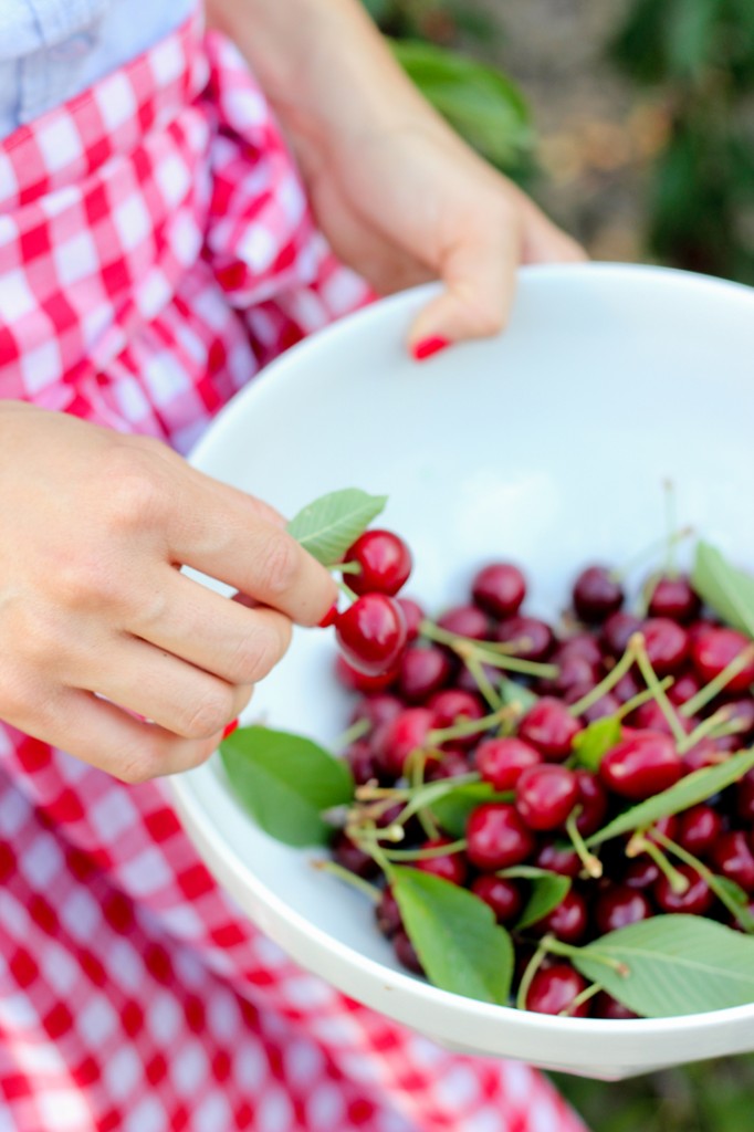 Simple Gathered Half Apron TUTORIAL