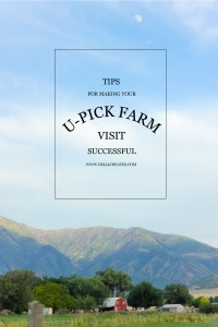 Tips for Making your U-Pick Farm Visit a Success