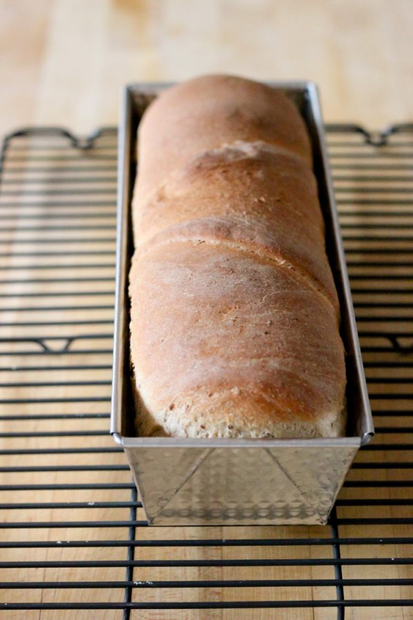 Best Bread EVER – No Fail Recipe