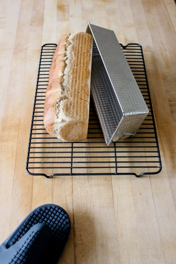 Best Bread EVER – No Fail Recipe