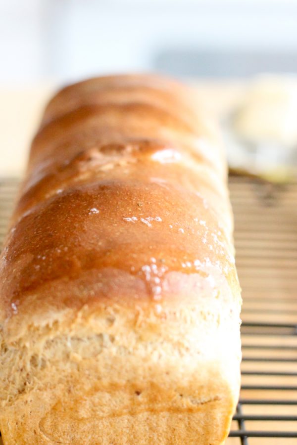 Best Bread EVER – No Fail Recipe