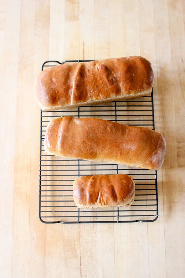 Best Bread EVER – No Fail Recipe