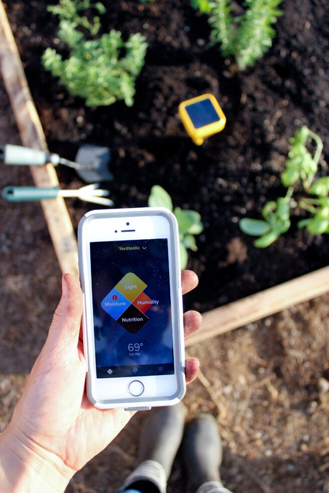 Striped Raised Garden Beds + Edyn Garden Sensor Review