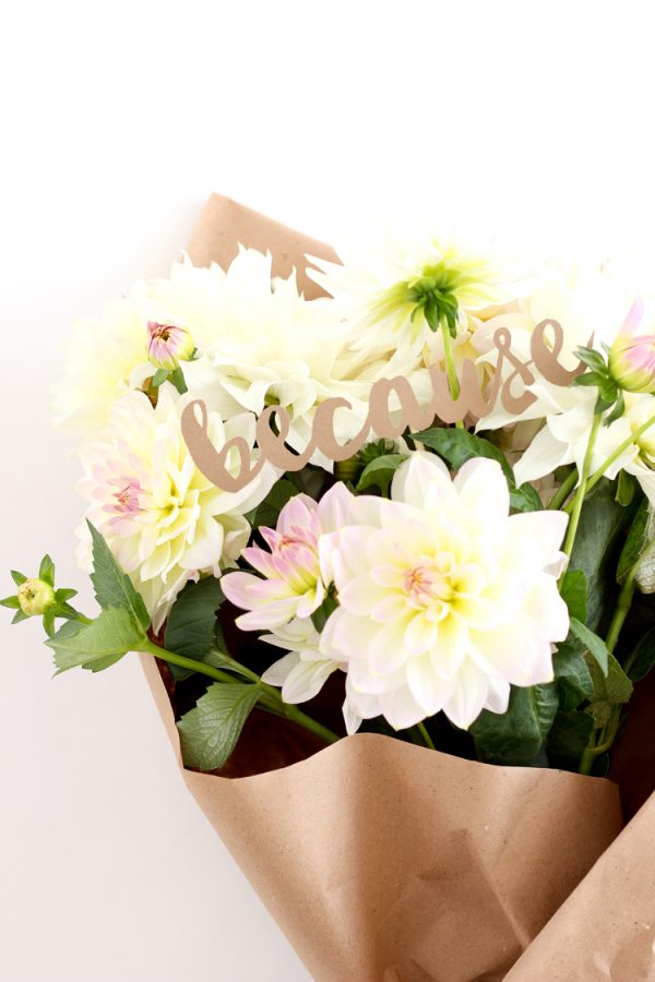 “Because” Typographic Topper