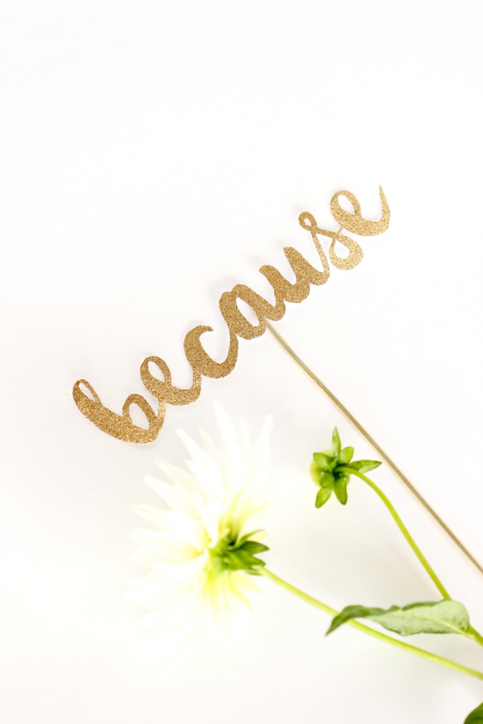 “Because” Typographic Topper