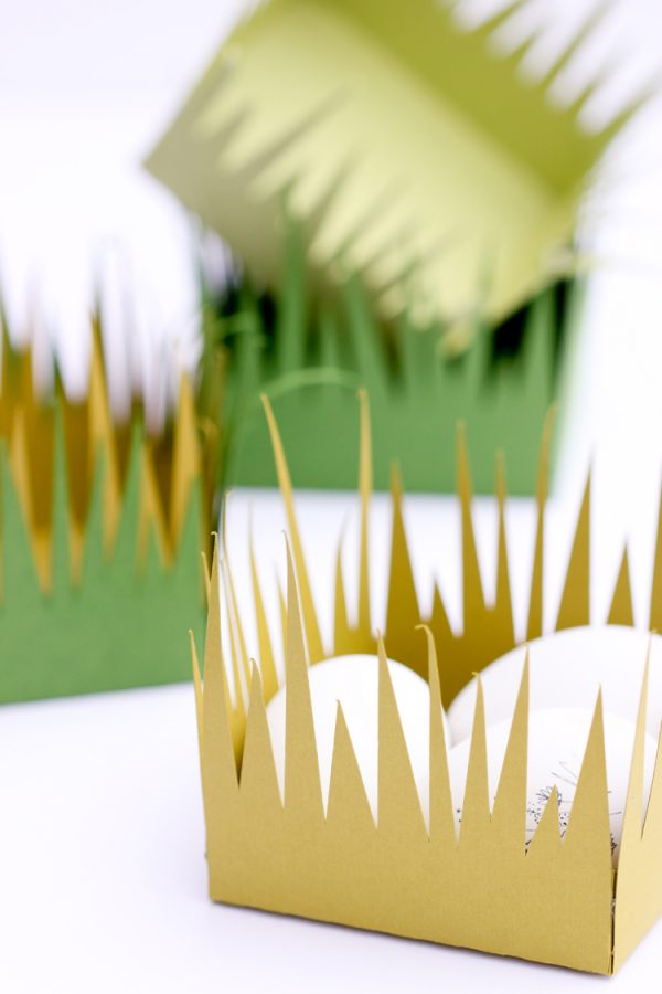 Grass Paper Boxes (free cut files)