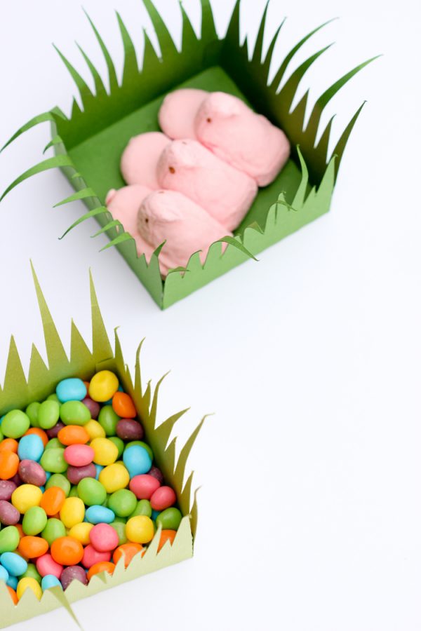 Grass Paper Boxes (free cut files)