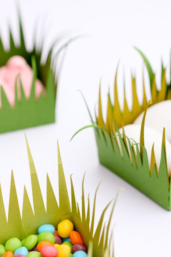 Grass Paper Boxes (free cut files)