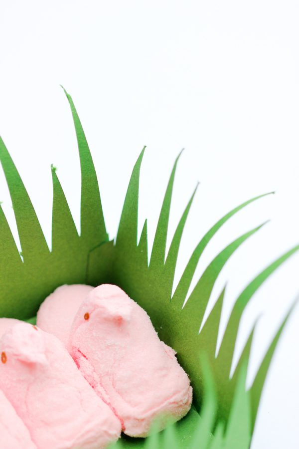 Grass Paper Boxes (free cut files)