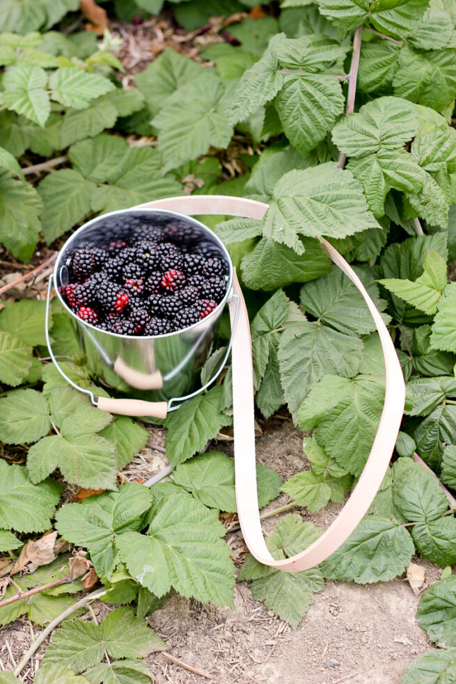 DIY Berry Bucket Tutorial