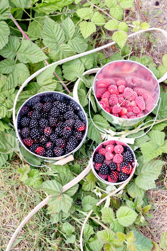 DIY Berry Bucket Tutorial