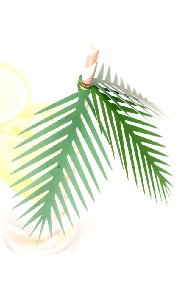 Paper Palm Frond Party Decor + Free Cut Files