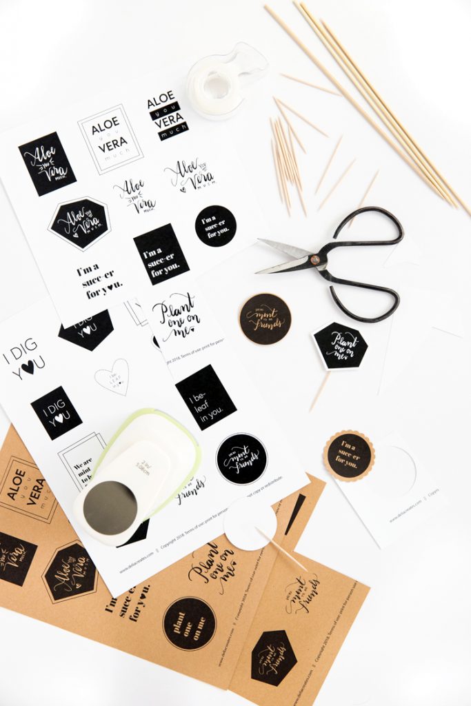 Plant Valentines – FREE PRINTABLE