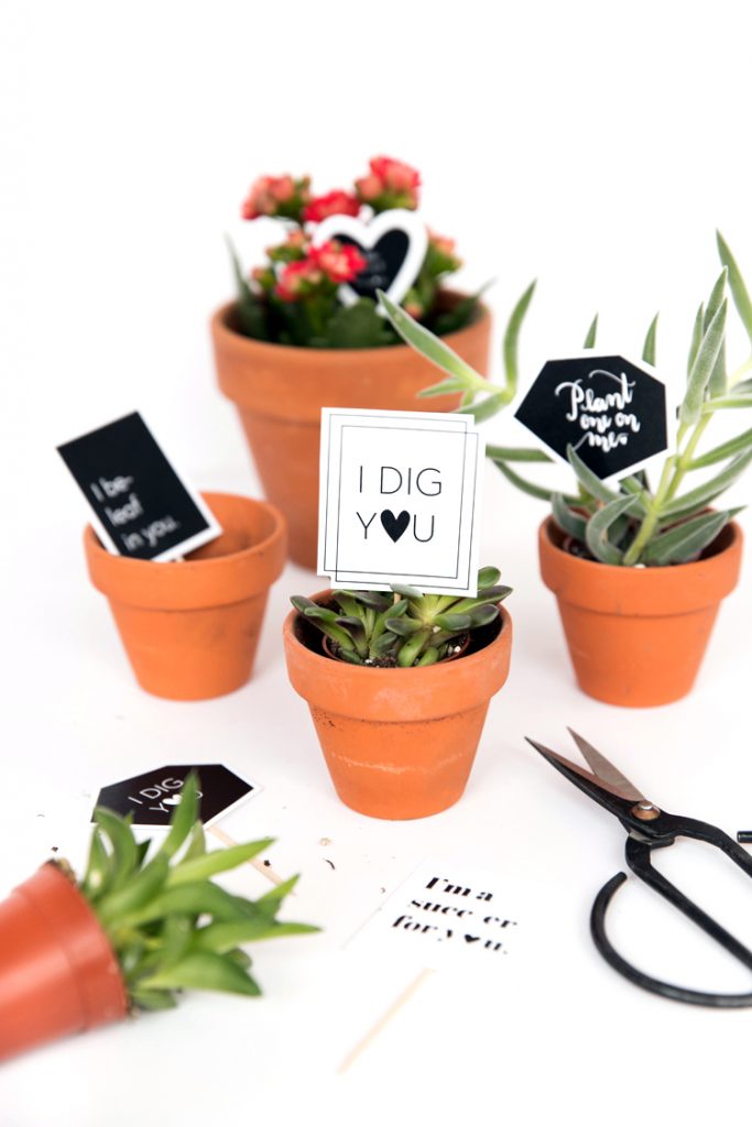 Plant Valentines – FREE PRINTABLE