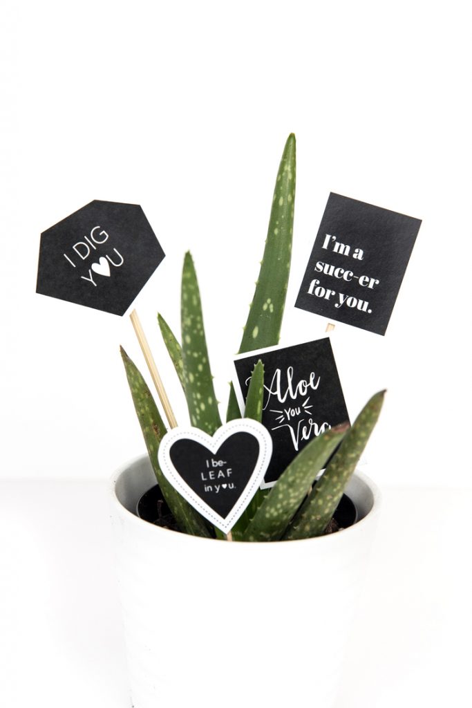 Plant Valentines – FREE PRINTABLE
