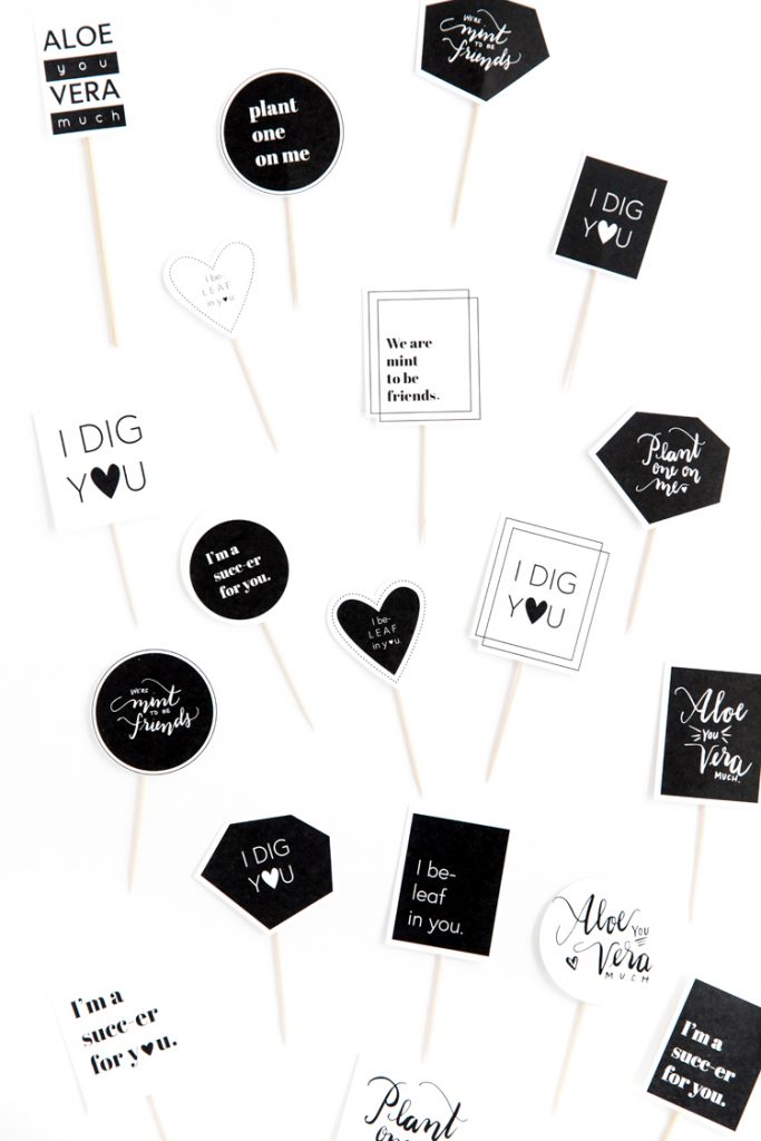 Plant Valentines – FREE PRINTABLE