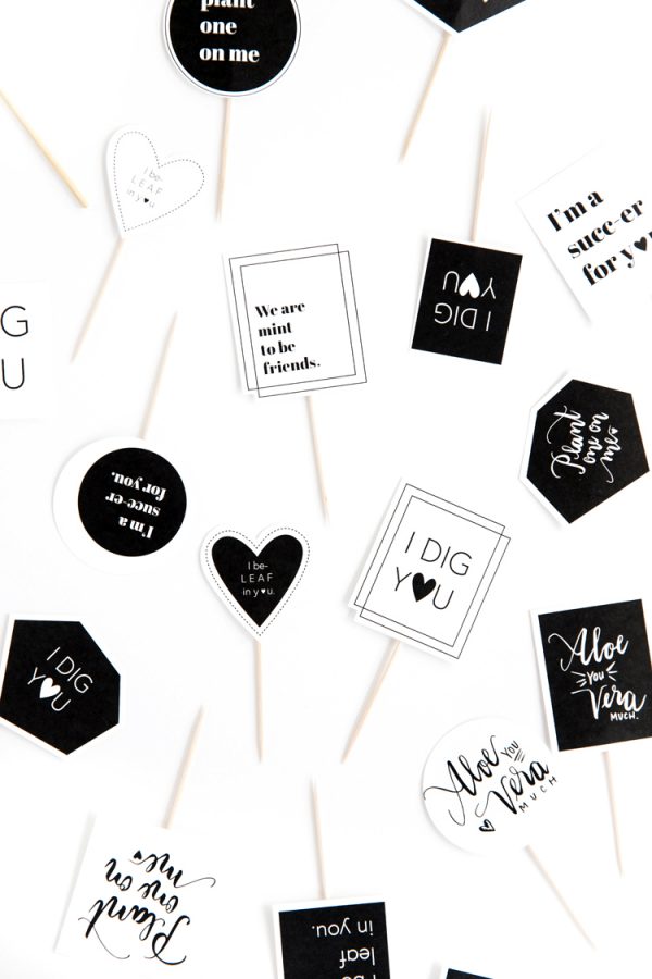 Plant Valentines – FREE PRINTABLE