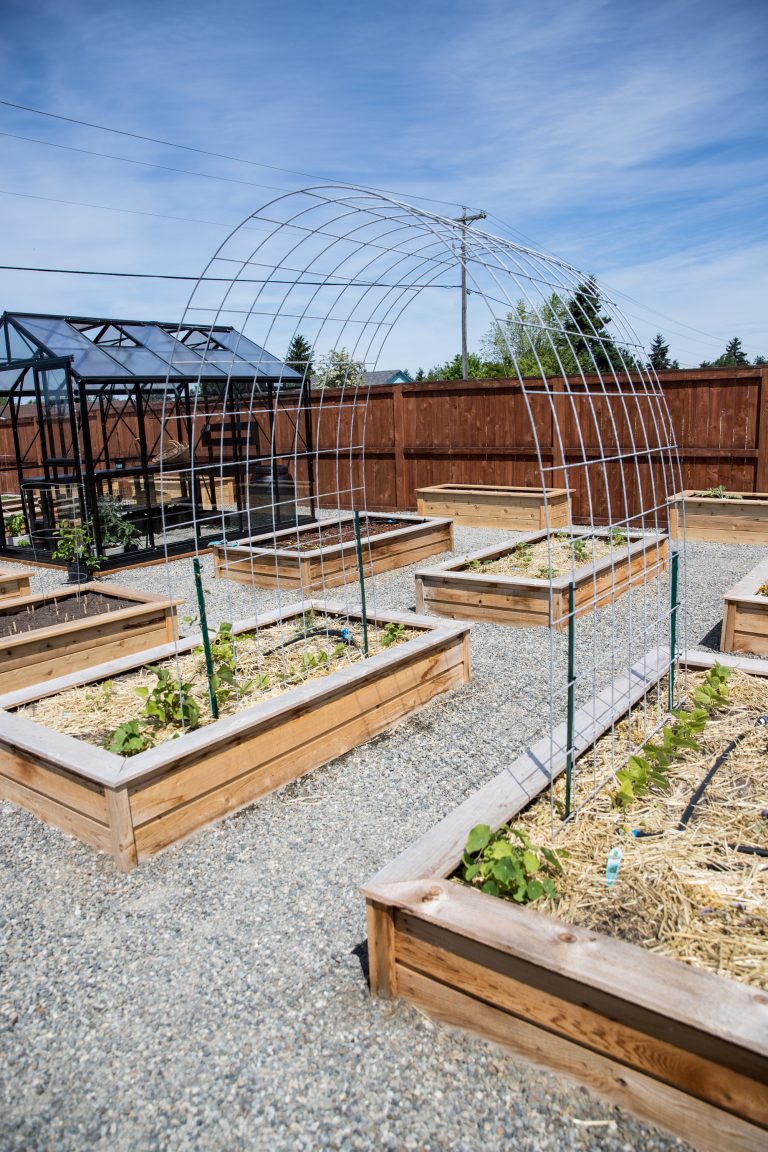 Raised Bed Garden Arch Trellis