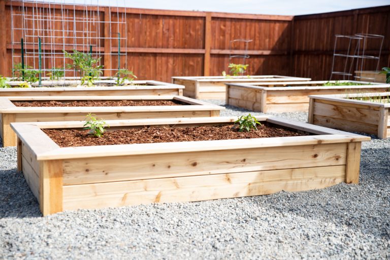 delia creates – Page 17