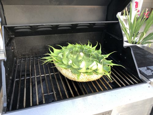 How to Roast a Sunflower Head