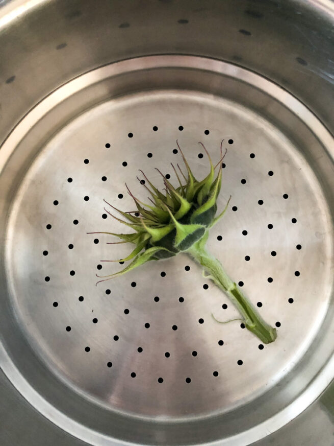 How to Roast a Sunflower Head