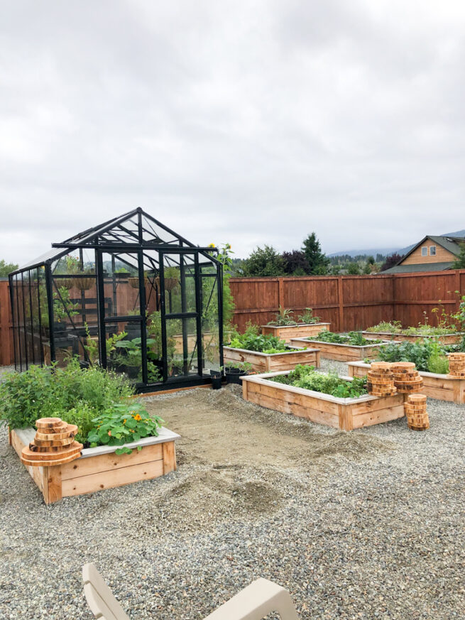 Creating a Wood Round Path