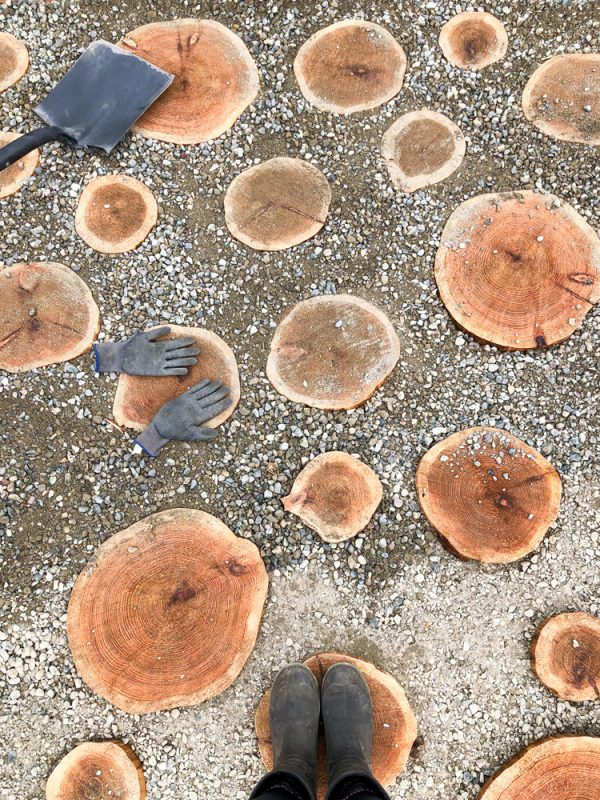 Creating a Wood Round Path
