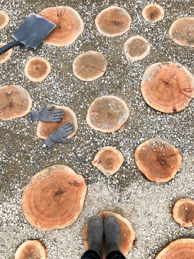 Creating a Wood Round Path