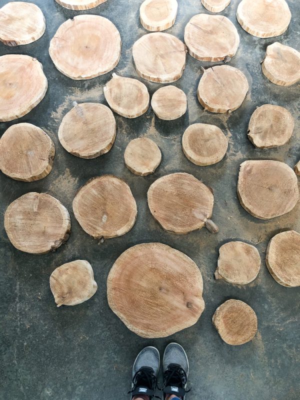 Creating a Wood Round Path