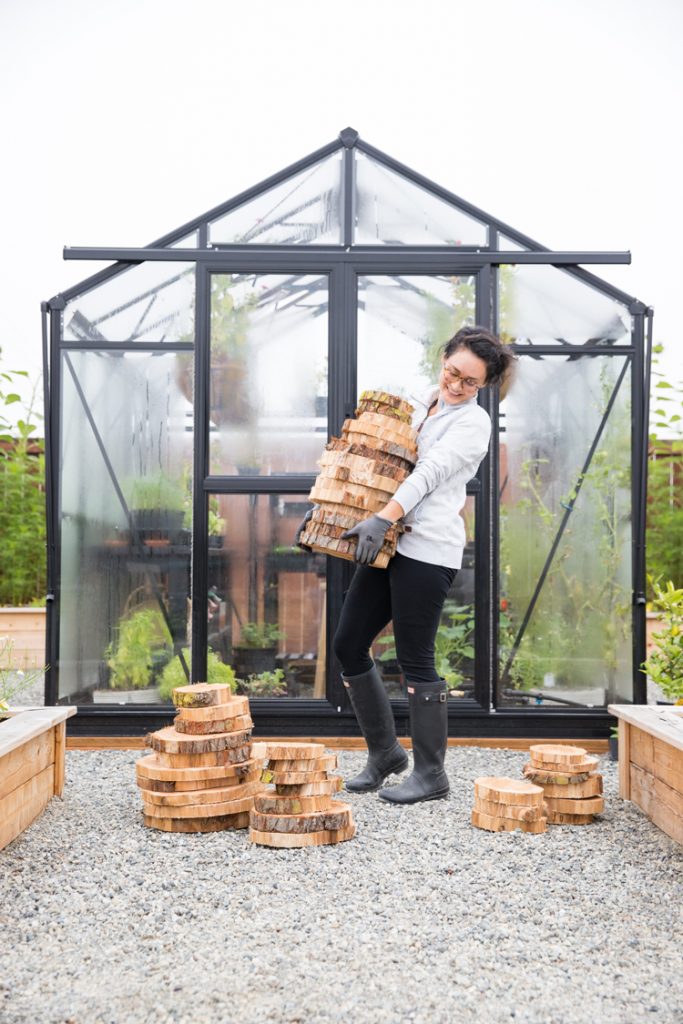 Creating a Wood Round Path