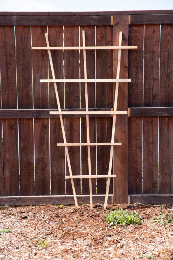 Lattice Garden Trellis Tutorial